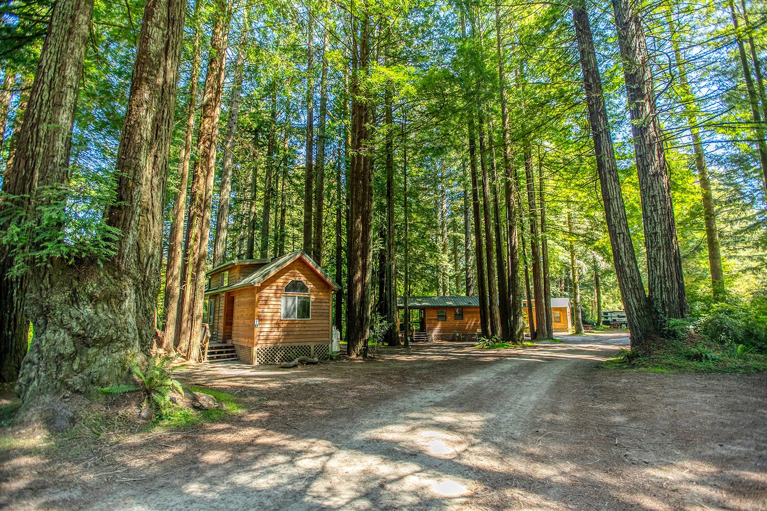 About - Pinecovecampground | Camping near me: Tent, RV sites, Glamping ...